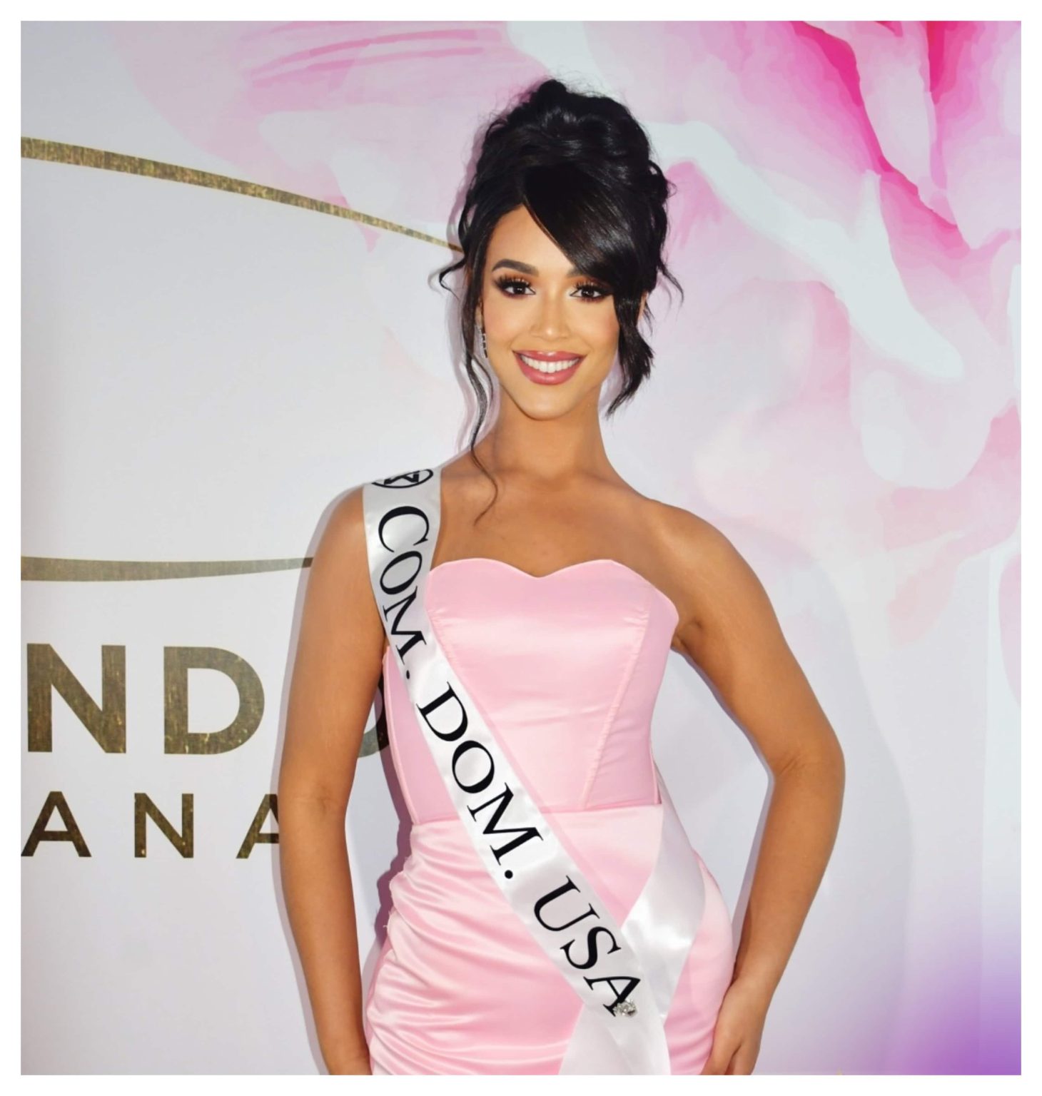 Presentan candidatas a Miss Mundo Dominicana 2025 participa modelo que ...